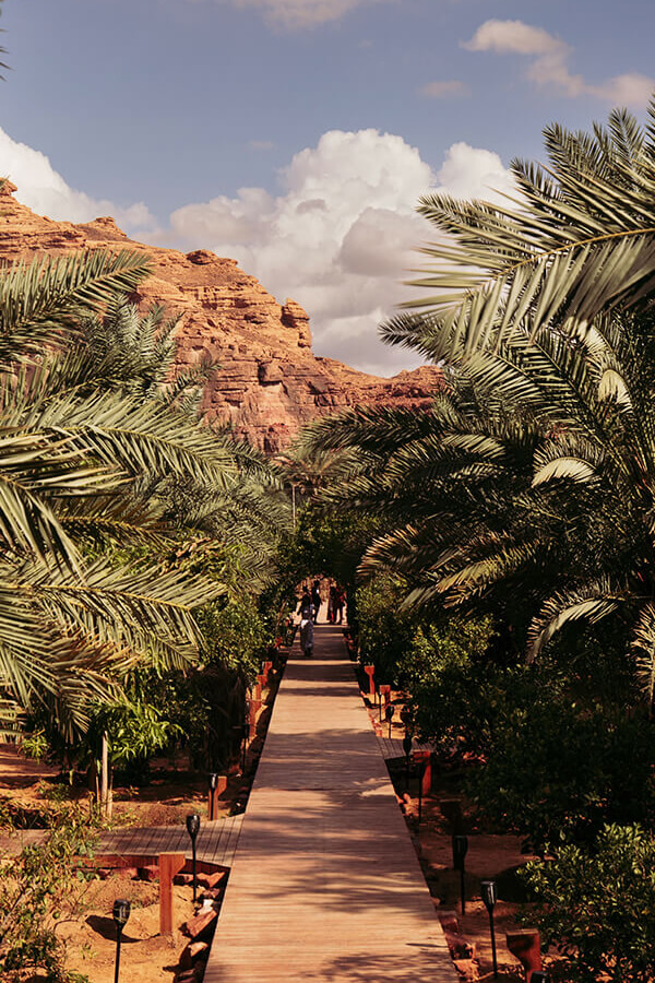 3-Day Best of AlUla | Itineraries | Experience AlUla