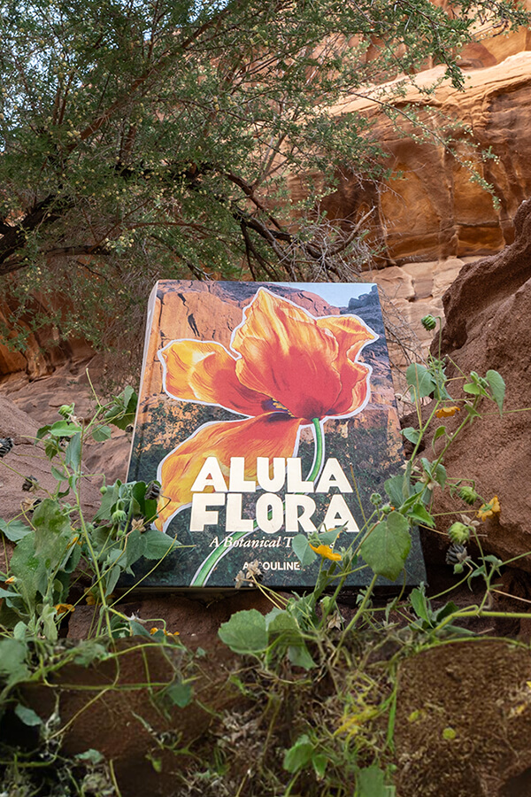 Discover the Beauty of AlUla's Diverse Flora in New Assouline Book ...