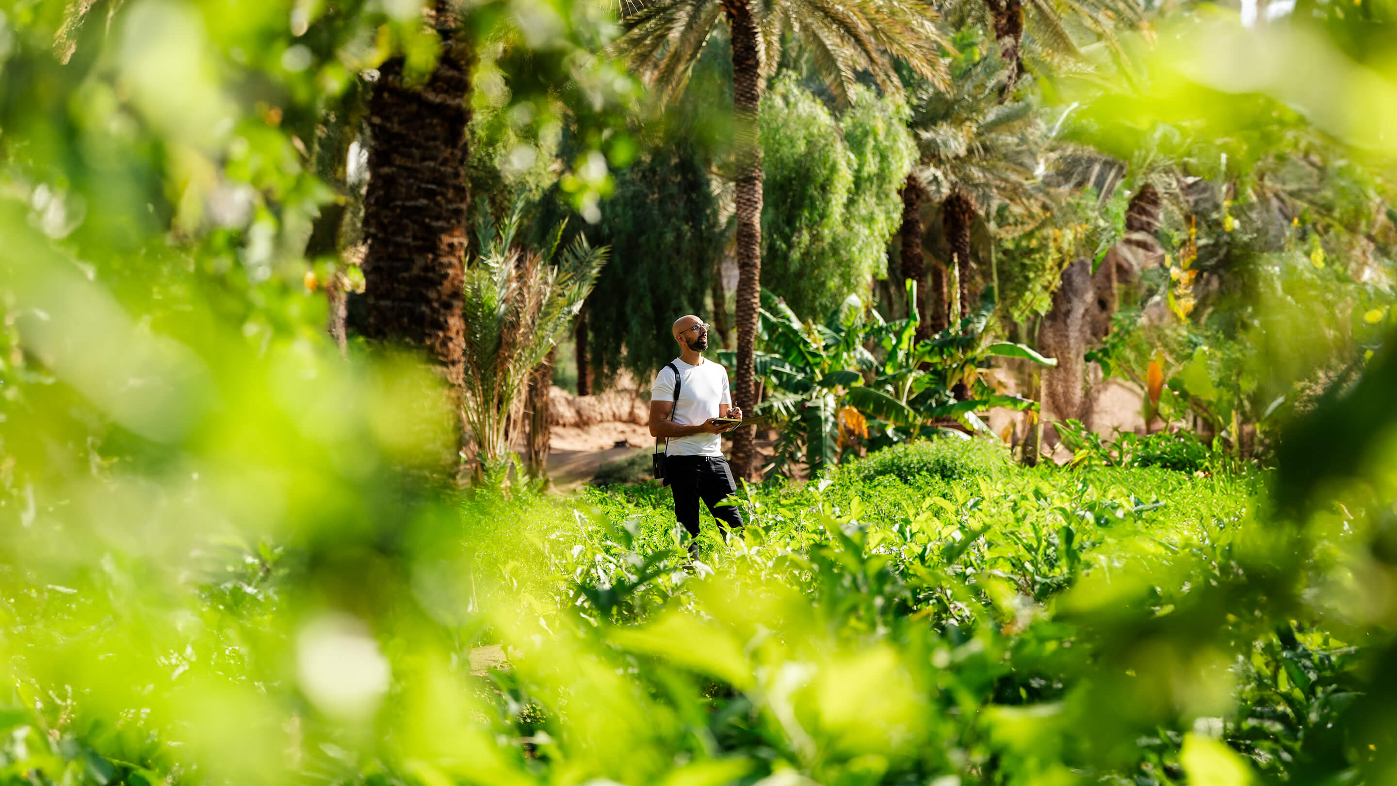 Nature experiences itinerary in AlUla | Be Inspired | Forever Revitalising