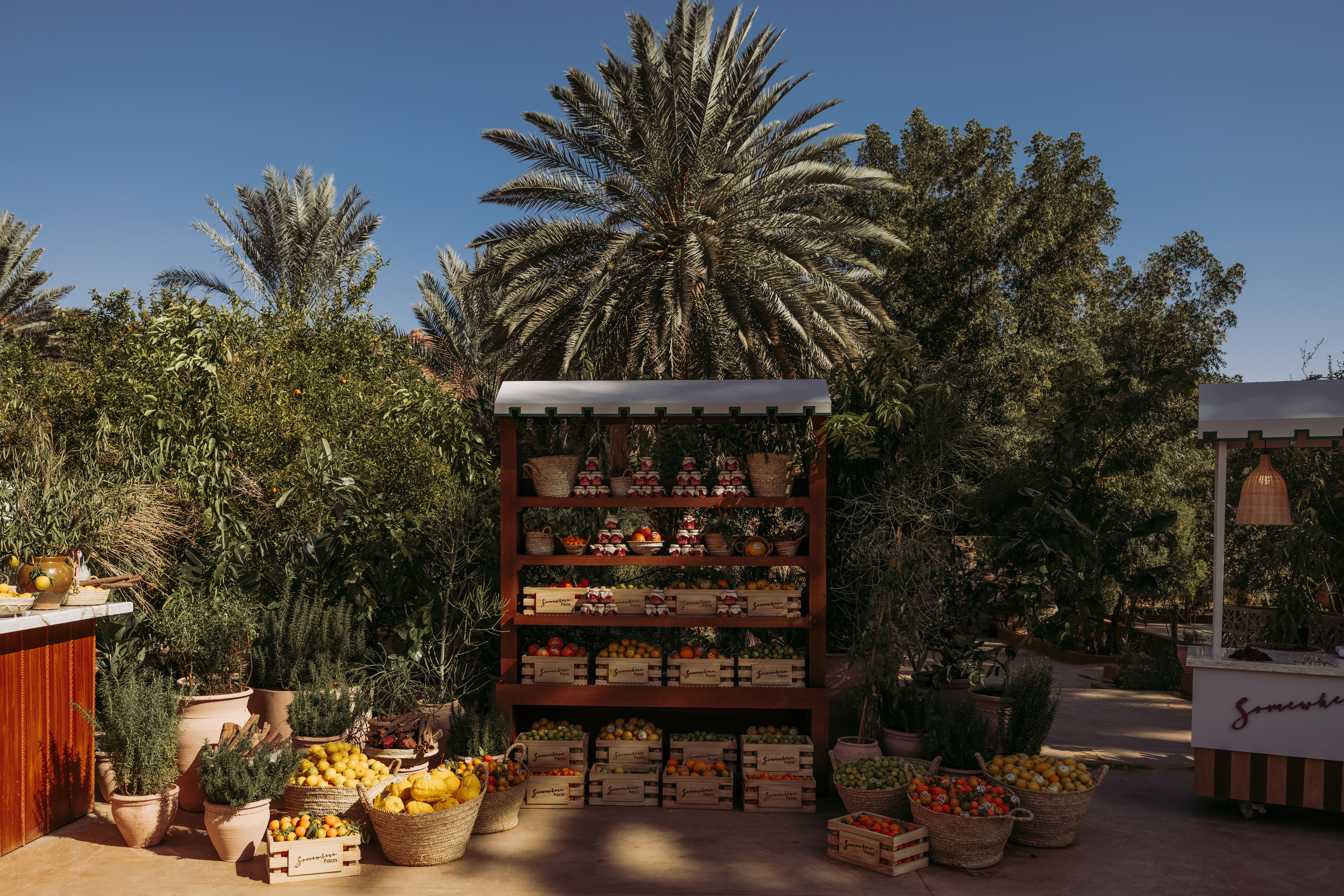 Experiences in the Oasis | Forever Revitalising | Experience AlUla