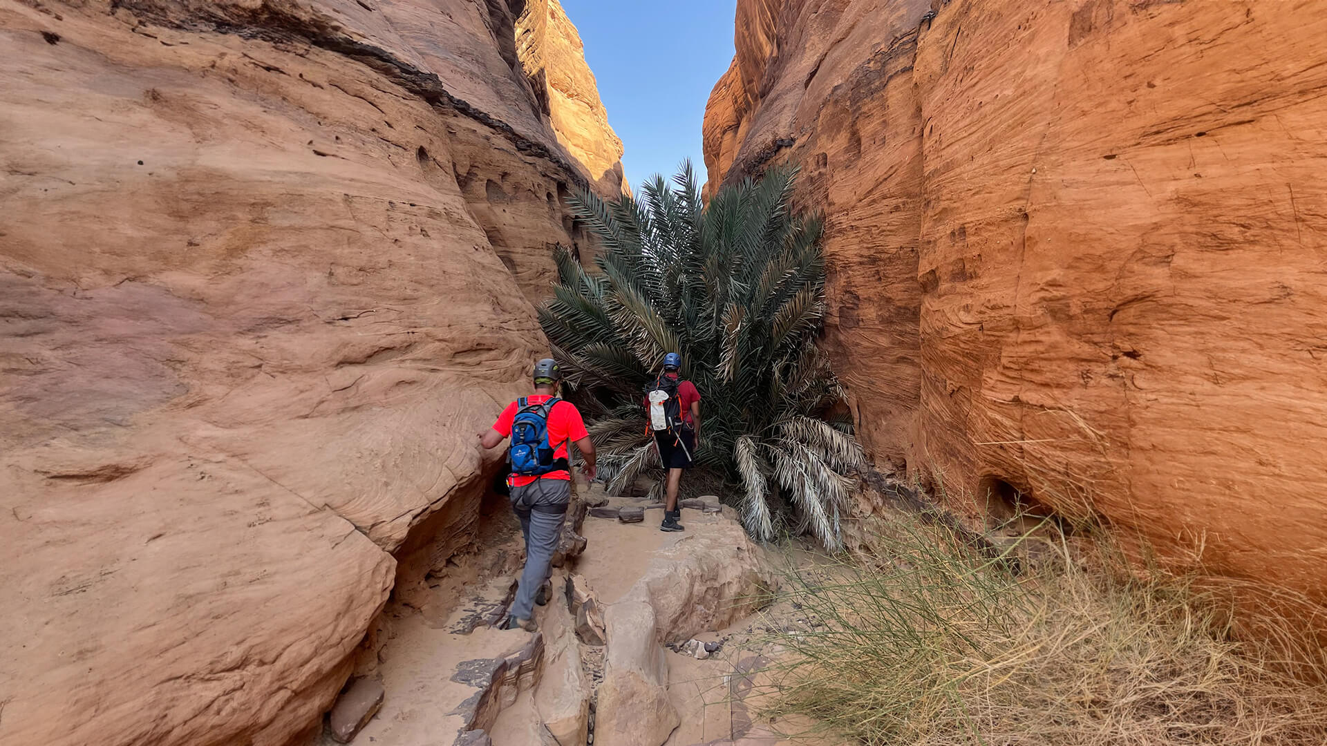 Abseiling | Palm Trail | Experiences and tours | Experience AlUla