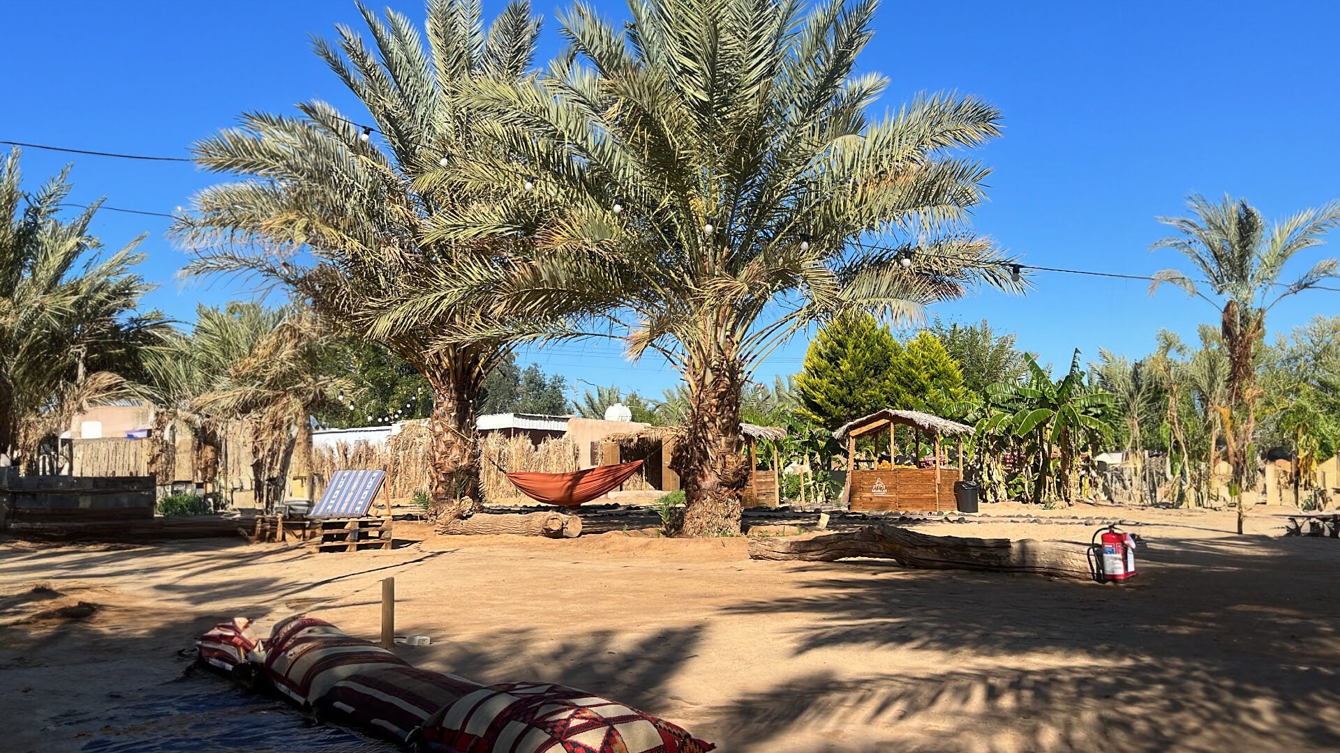 AlUla Adventure | Things to Do | Experience AlUla