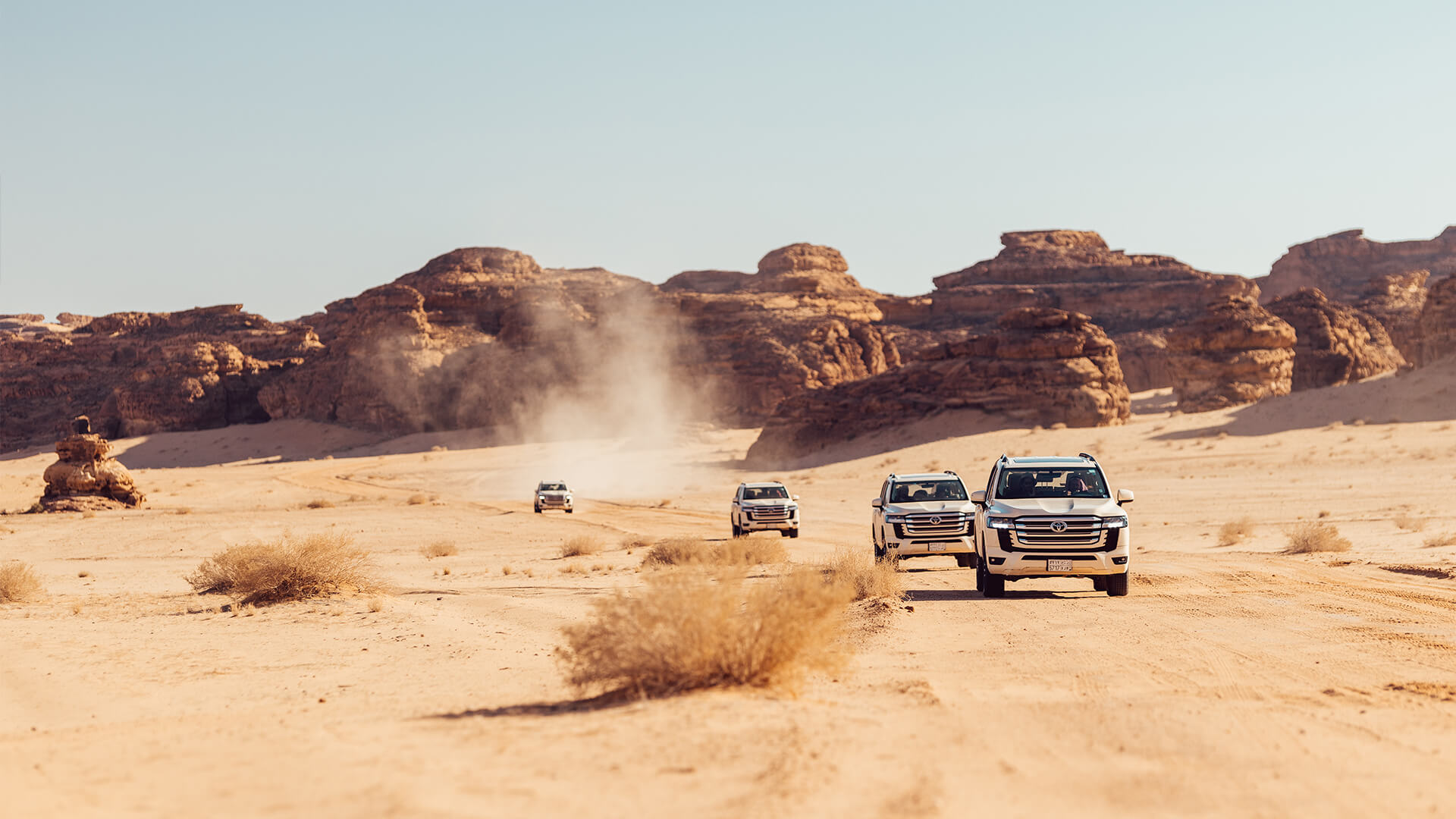 Sharaan Reserve Safari Tour | Things to Do | Experience AlUla