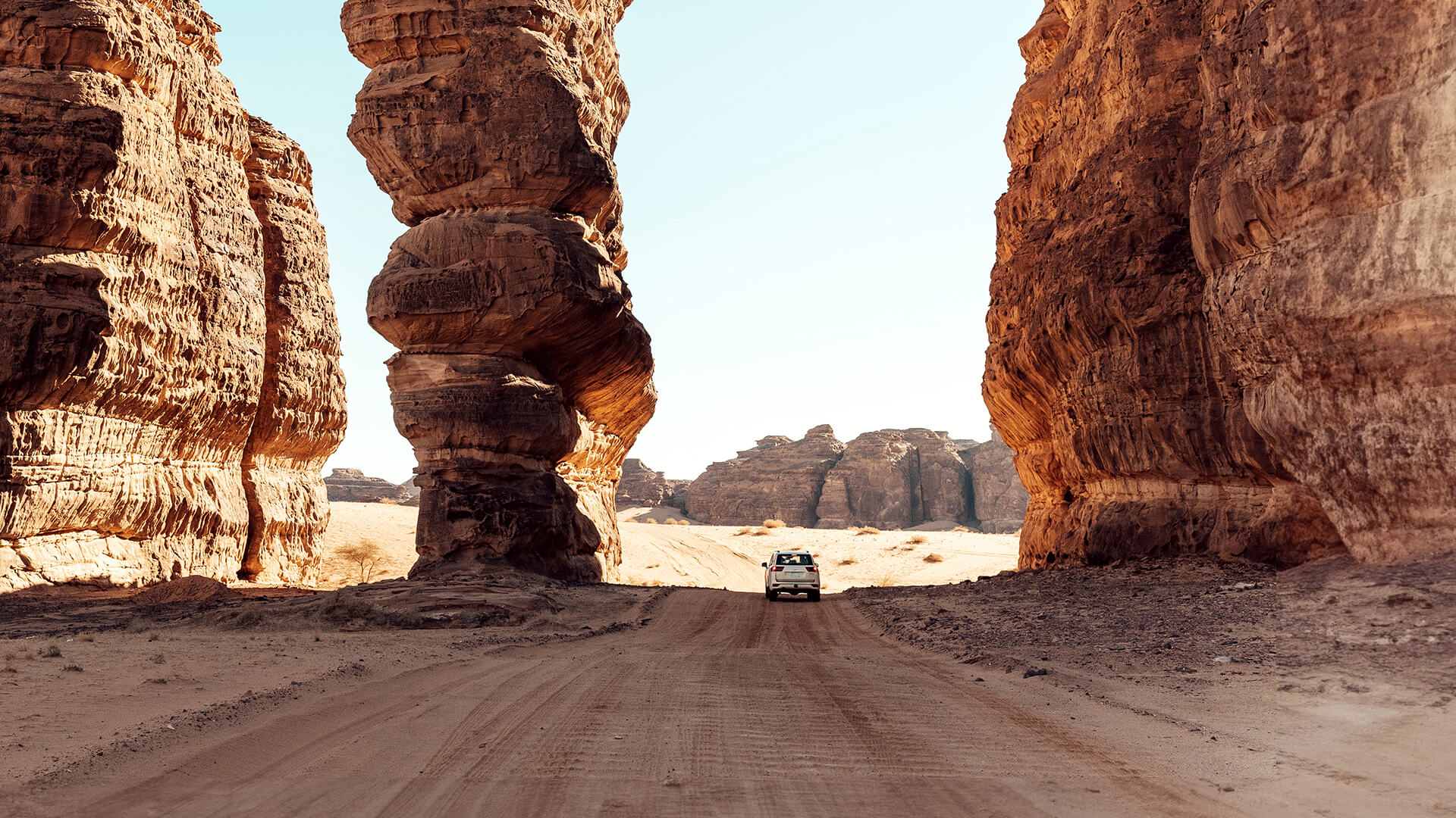 Sharaan Reserve VIP Safari Tour | Things to Do | Experience AlUla