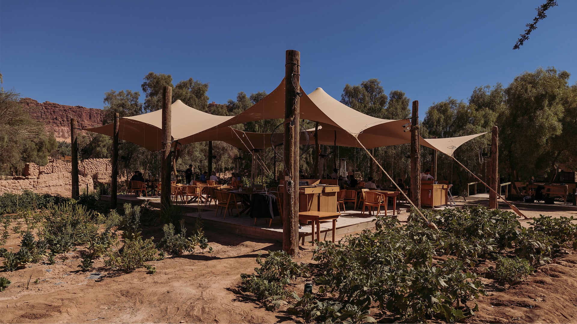 Daimumah Cafe | Where to Eat | Experience AlUla