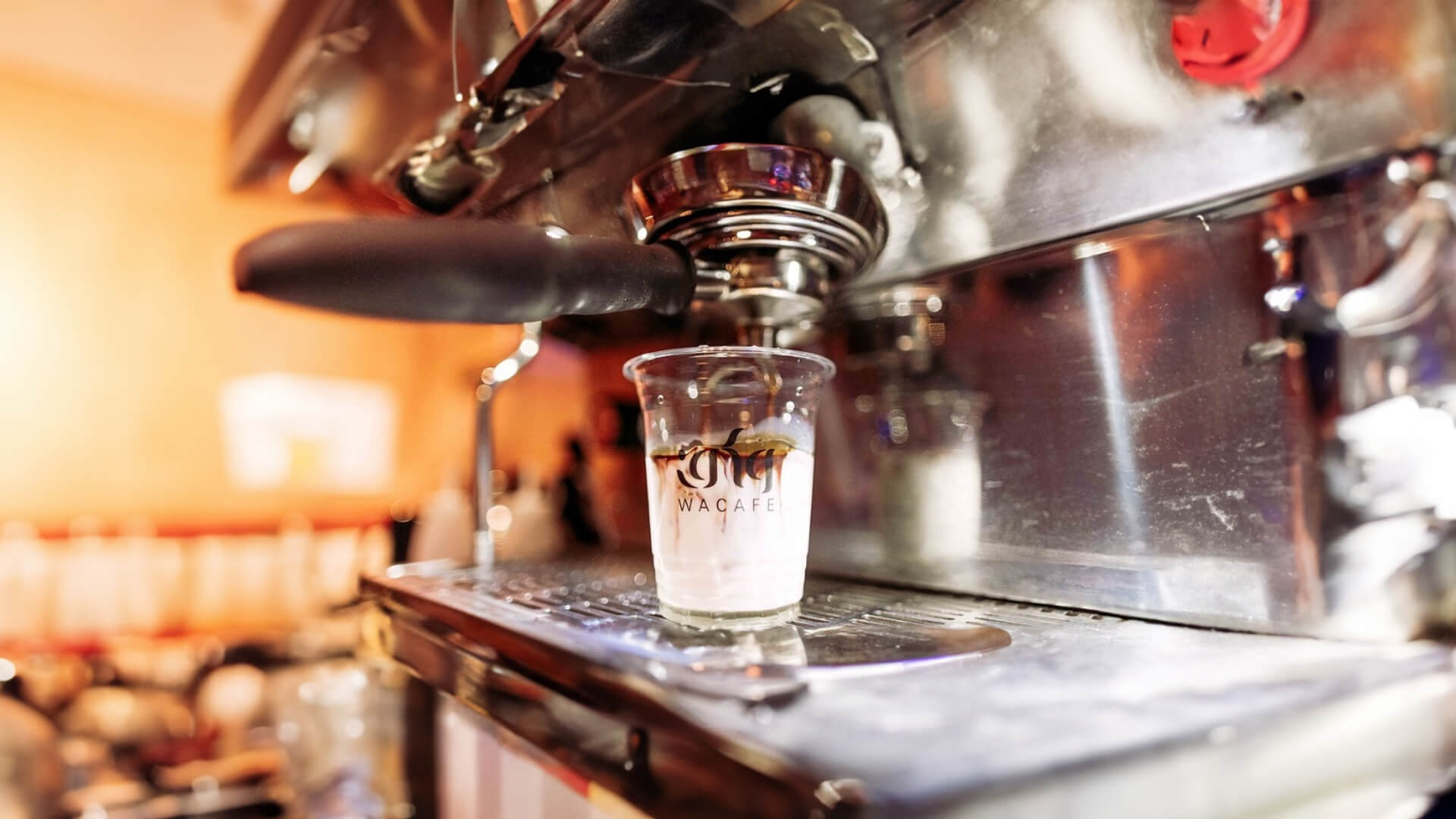 Wacafe | Food and drink | Experience AlUla