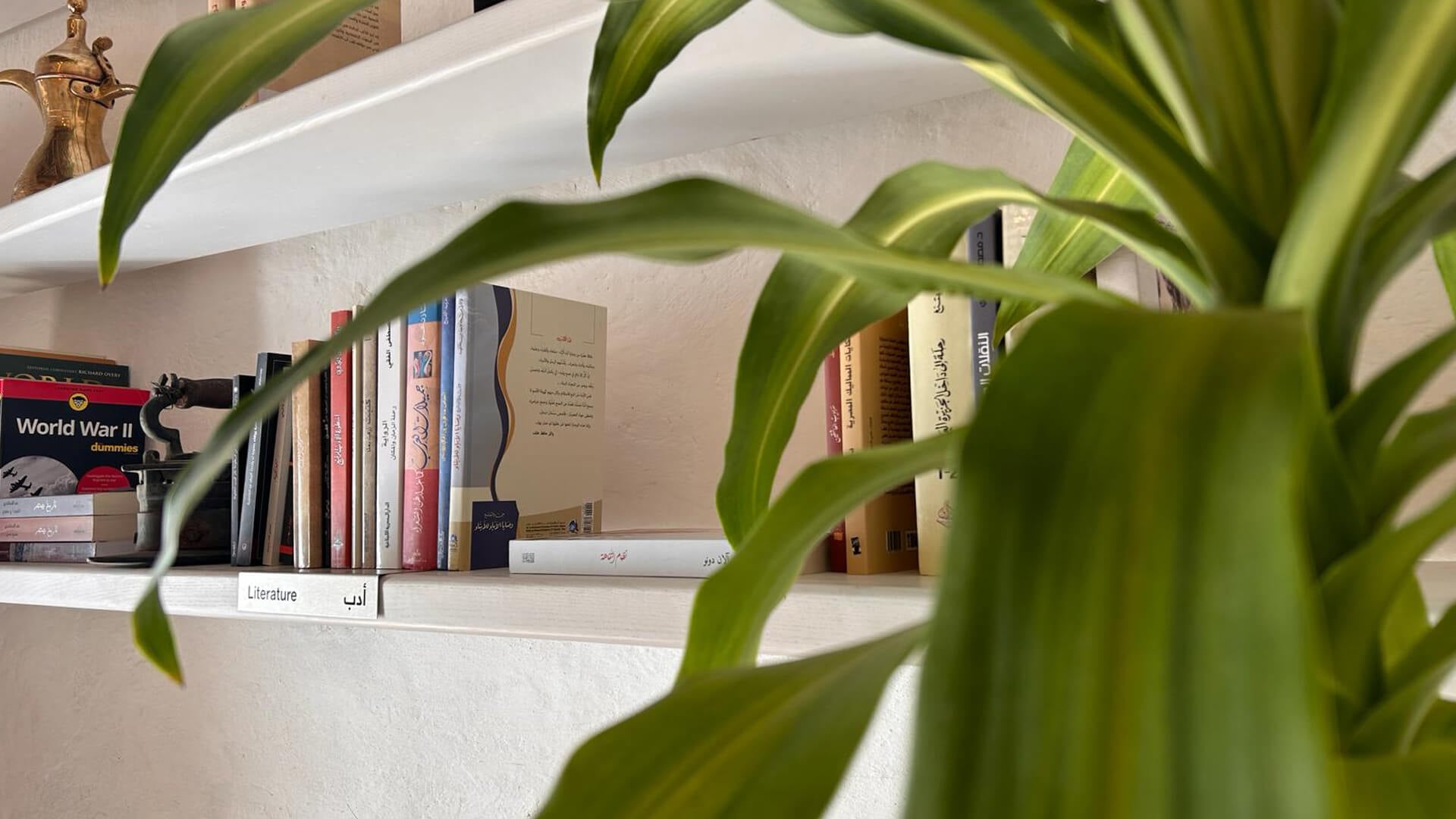 AlUla Public Library | Places to Go | Experience AlUla