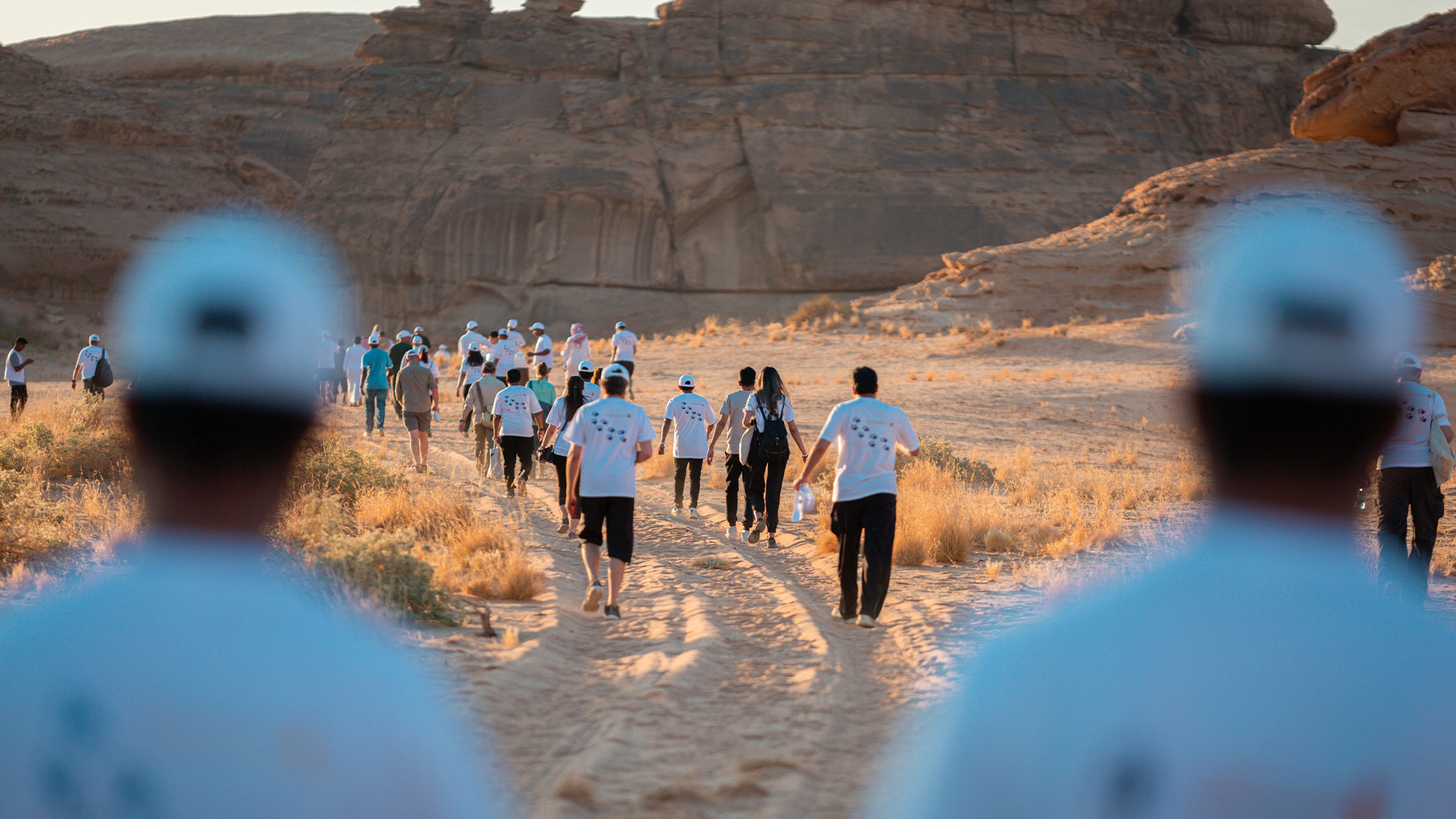 International Day of the Arabian Leopard | Events | Experience AlUla