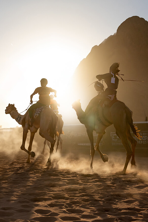 AlUla Camel Cup | Events | Experience AlUla