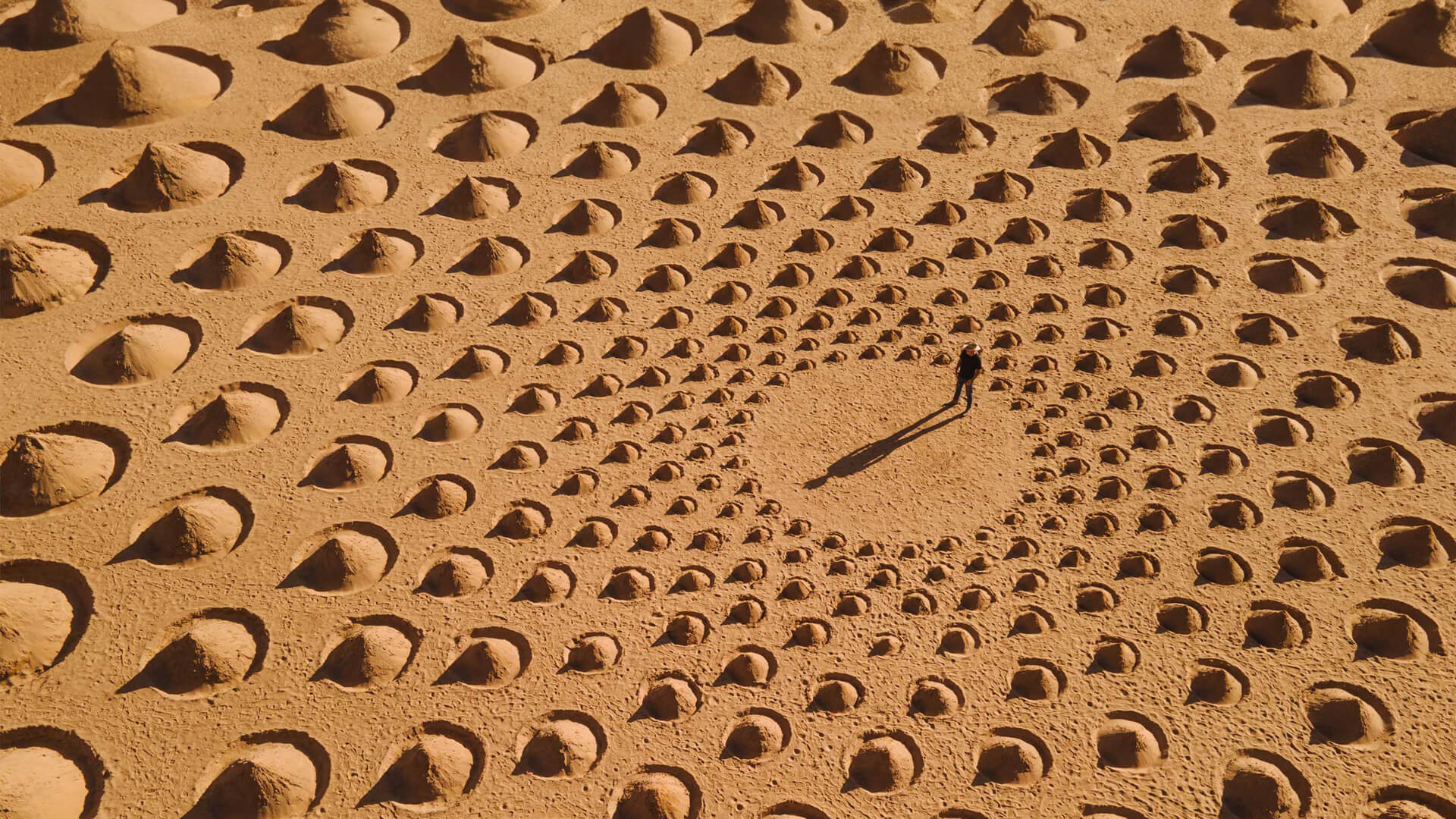 AlUla Arts Festival | Festivals | Experience AlUla